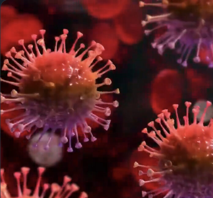 Greater Manchester Running Extra Children's Flu Vaccination Clinics To ...