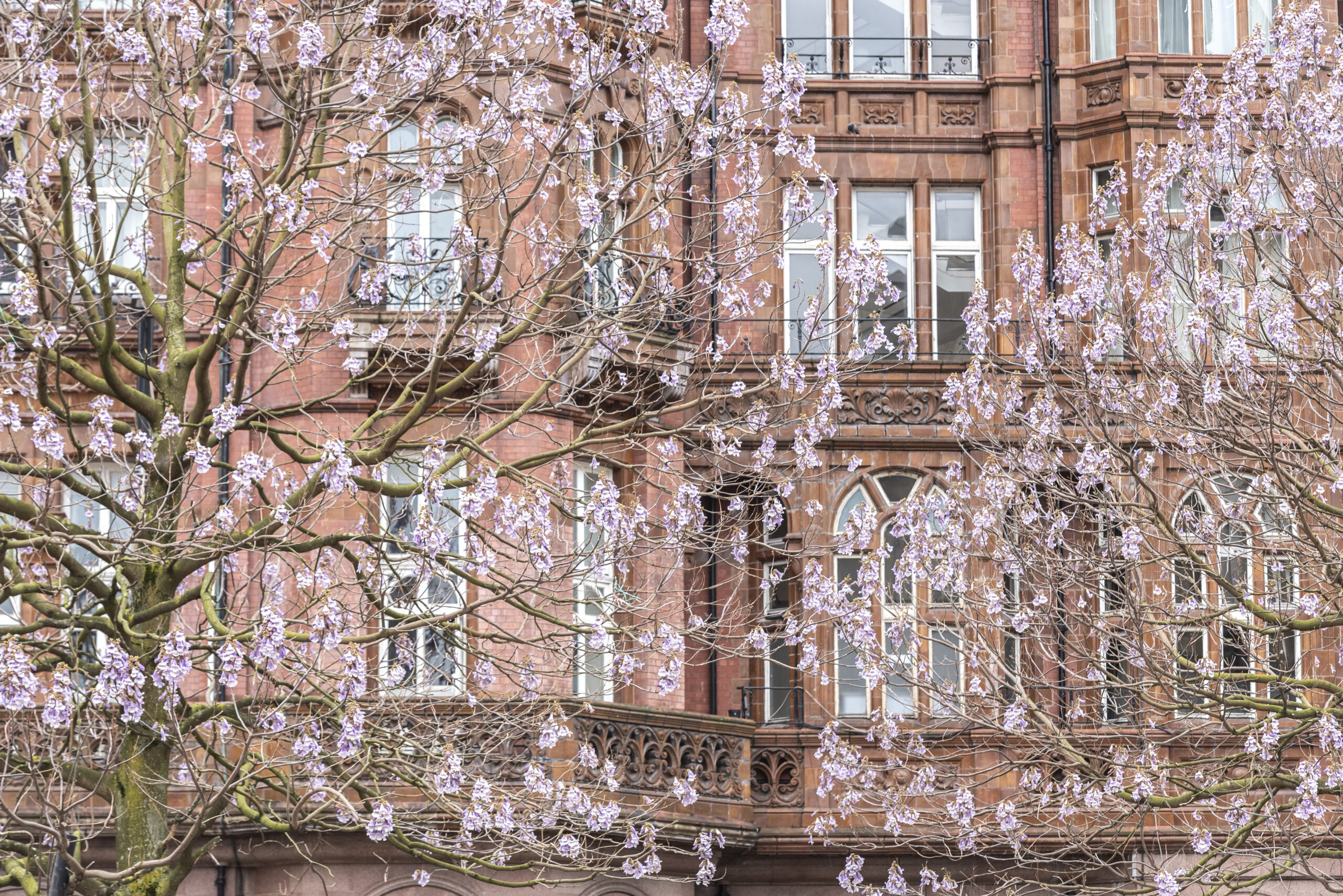 Bloomtown festival returns to Greater Manchester - About Manchester